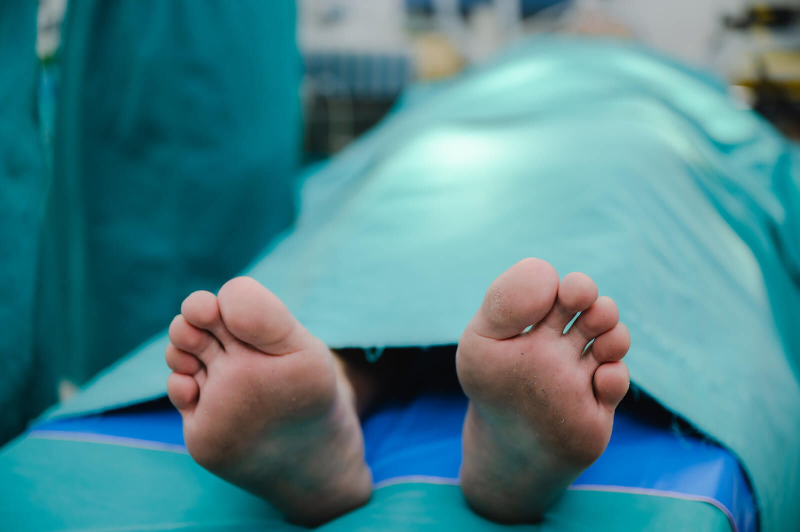 Das Leichenschaupraktikum | Doctory